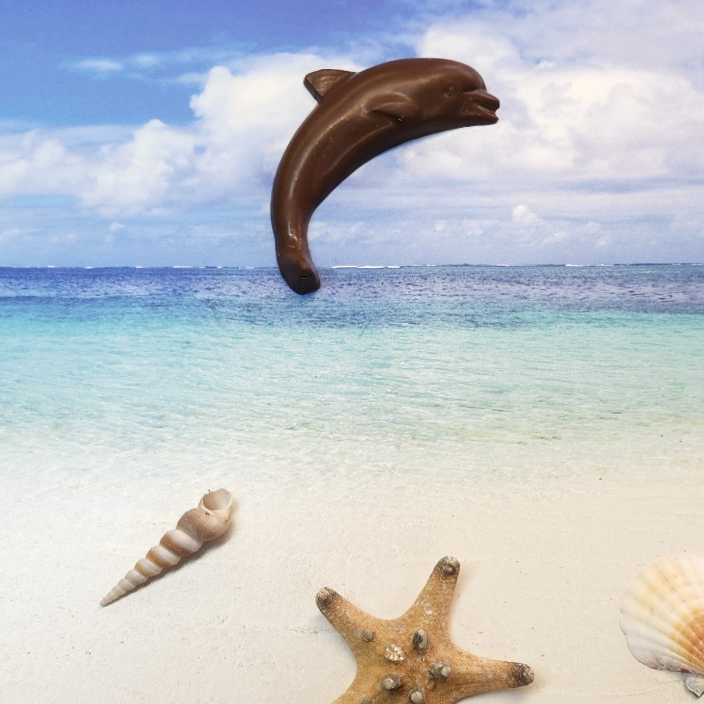 Chocolate Dolphin – Stage Stop Candy