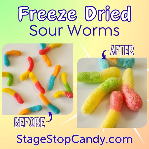 Sour Gummi Worms - Freeze Dried Candy – Stage Stop Candy
