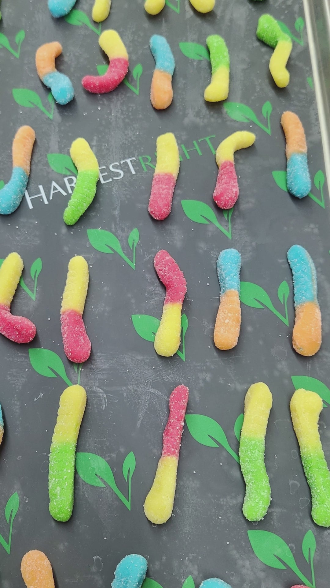 Stage Stop Candy - Handmade Candy & Confections Made on Cape Cod